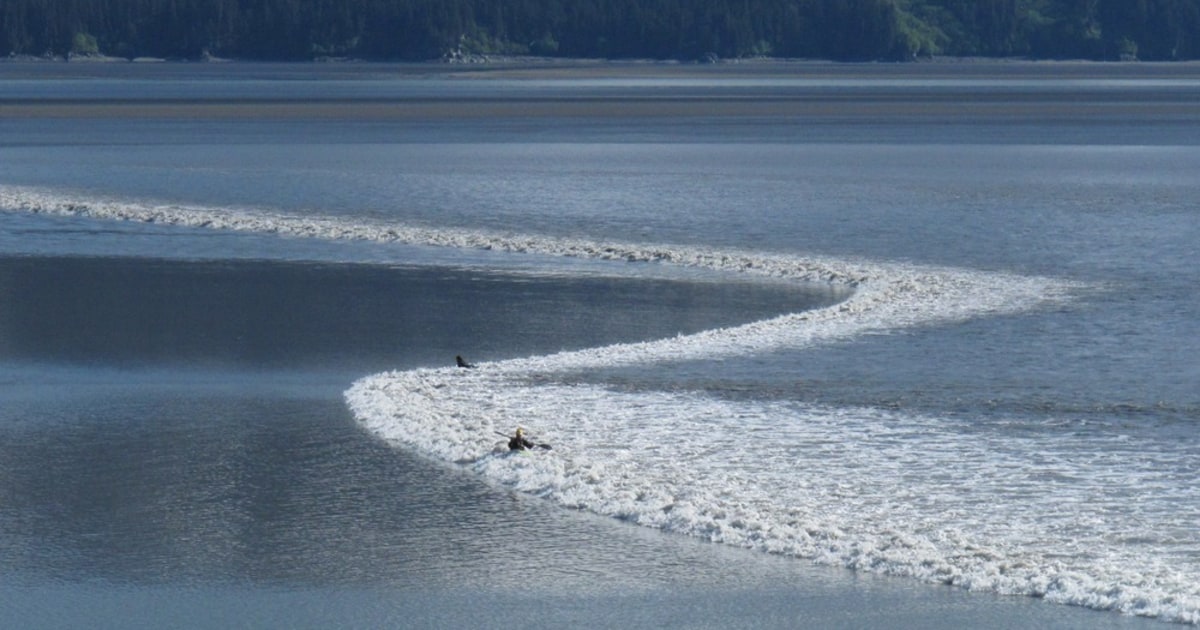 Tidal wave, of sorts, hits Alaska -- to joy of surfers, kayakers
