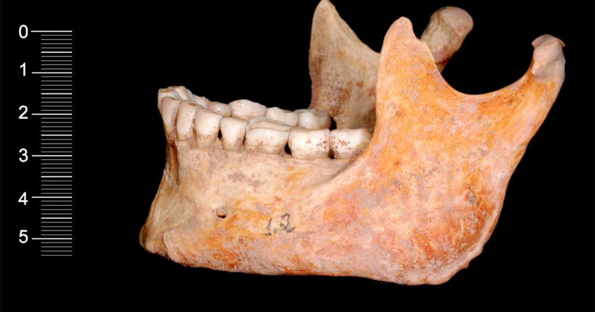 Cavemen bones yield oldest modern human DNA