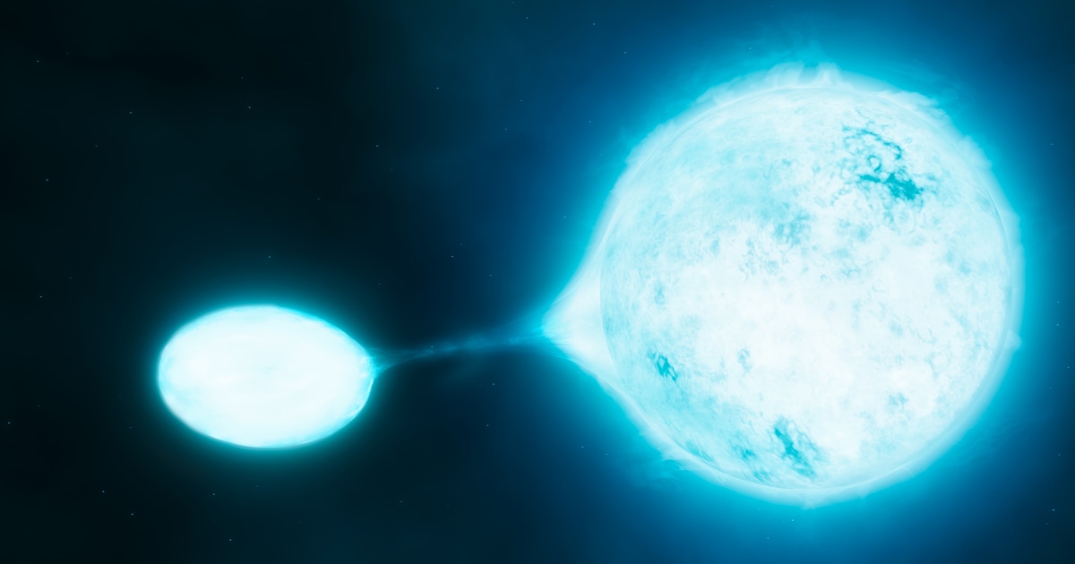 Most massive stars live as vampires in close stellar pairs