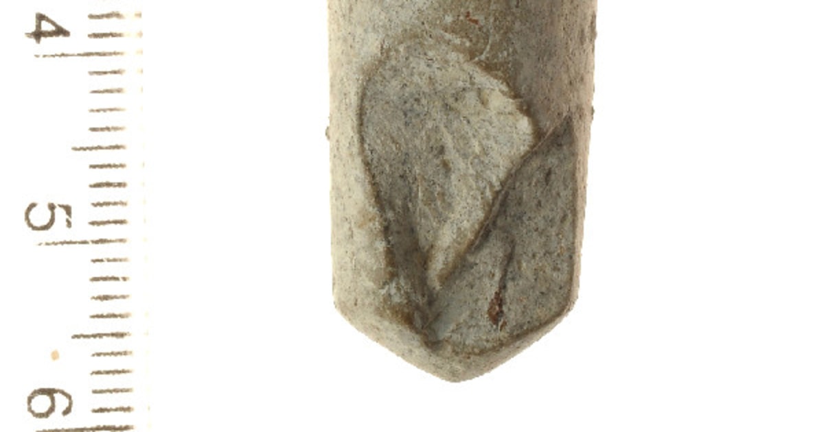 World's earliest-known 'matches' believed discovered