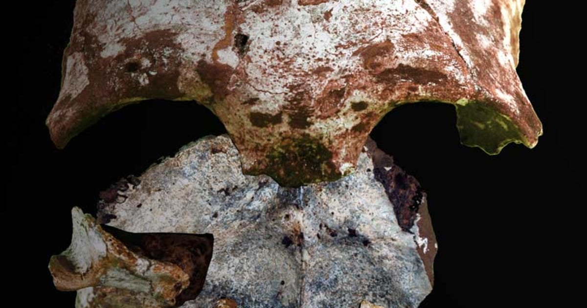 Oldest bones from modern humans in Asia discovered