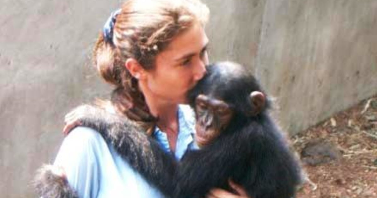 Deadly human bacteria infects chimps, raising new worries