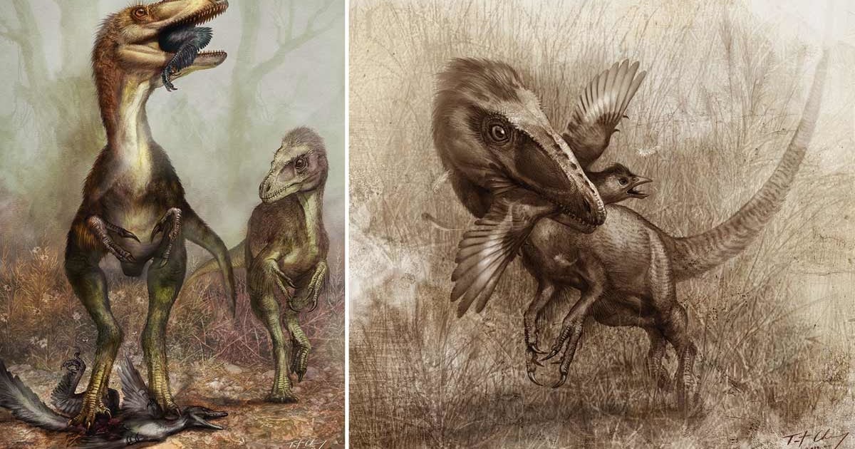 Fuzzy dinosaur's last meal hints its species was adept at hunting