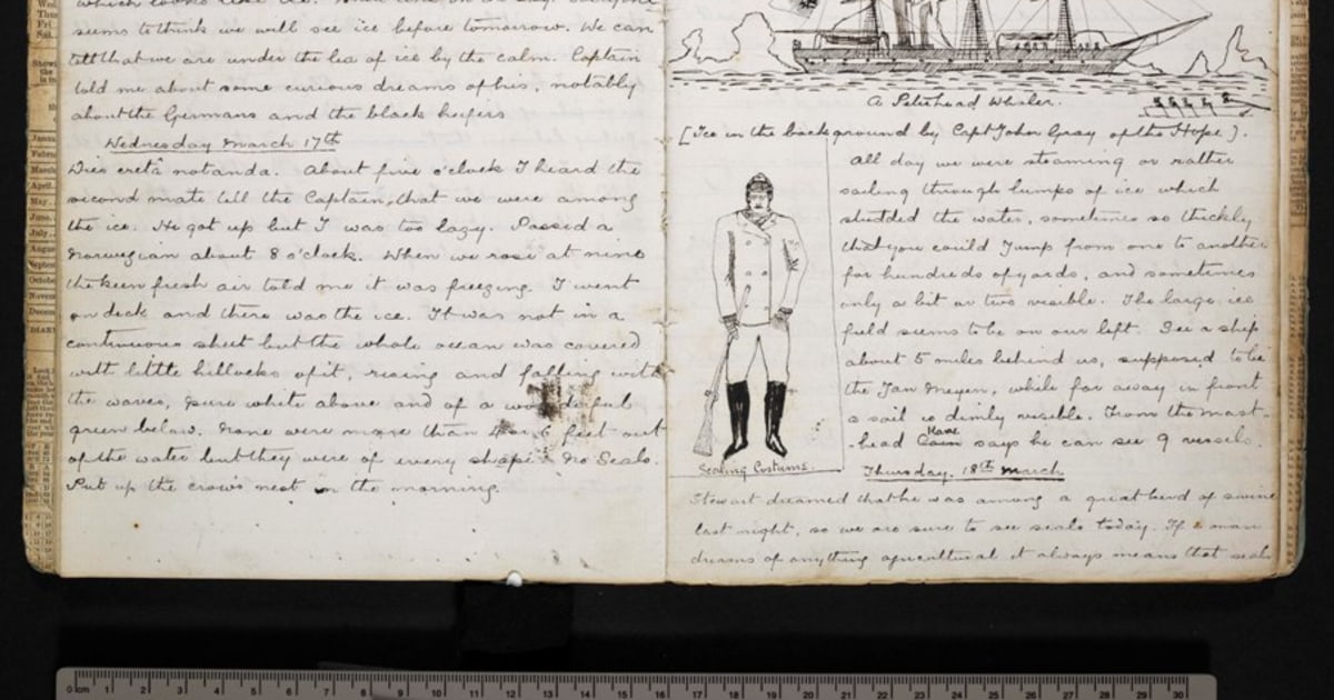 Arthur Conan Doyle's journal tells of Arctic whaling venture