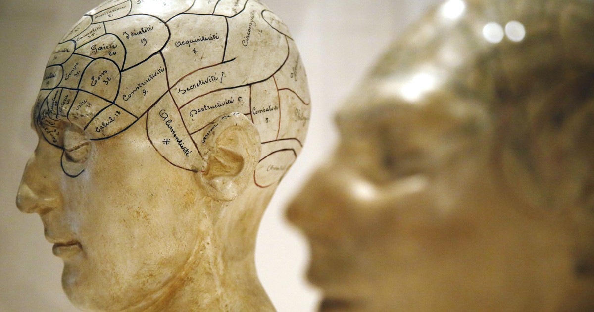 Are humans becoming less intelligent? It could very well be