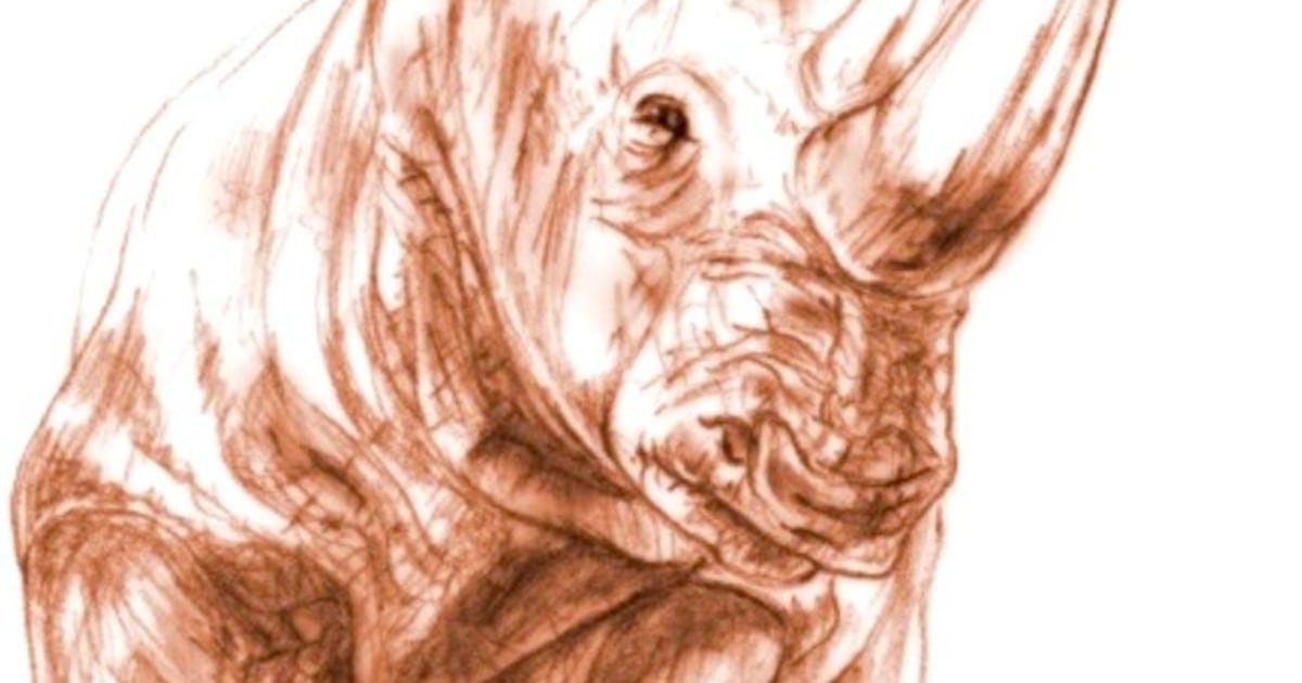 About 9 million years ago, lava 'cooked to death' this rhino