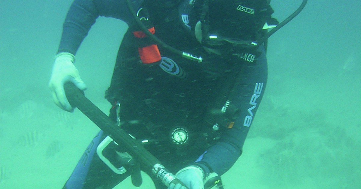 Fossil of long-extinct whale found on seafloor