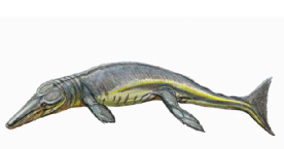 Big, toothy 'super predator' terrorized Jurassic Europe