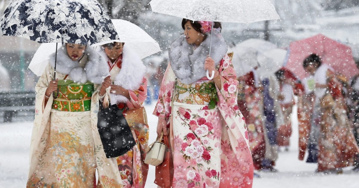 Tokyo's first snowfall disrupts air travel