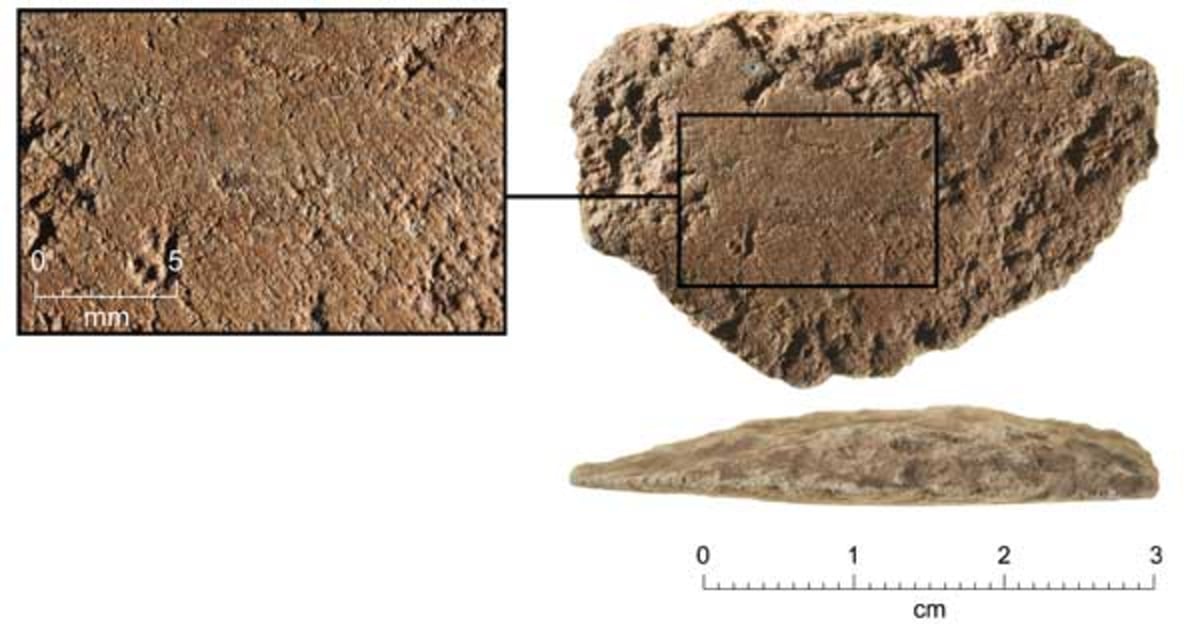 35,000-year-old stone ax is oldest known tool