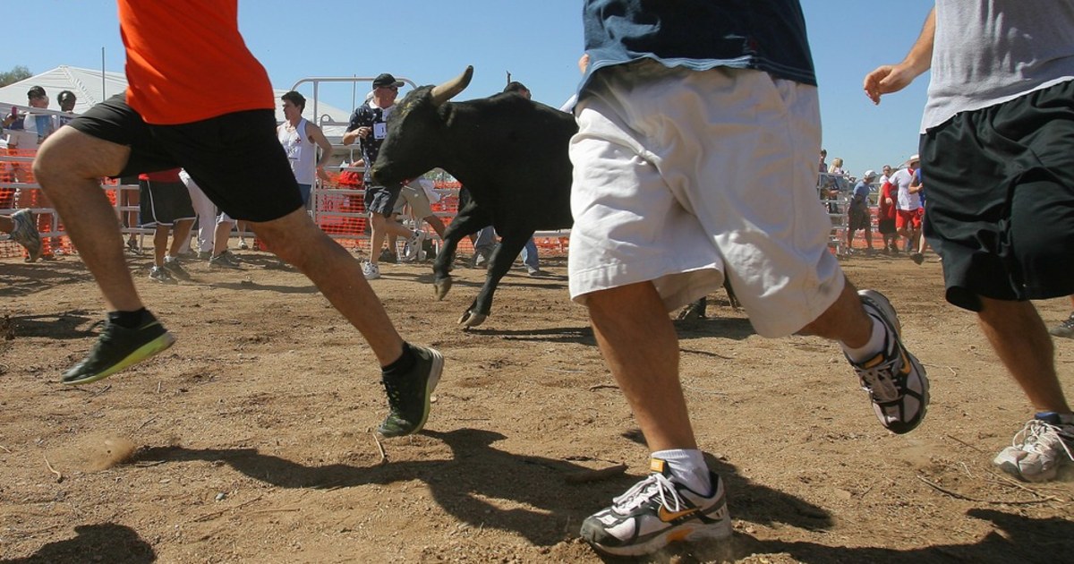 Running of the bulls in Arizona? More like strolling