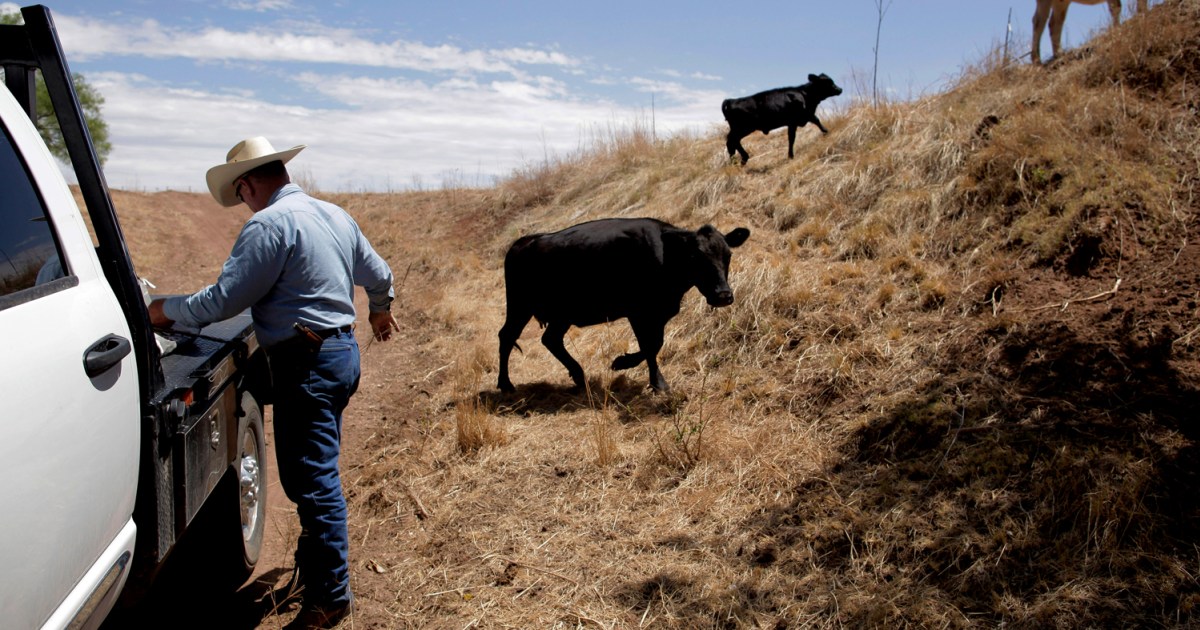 Drought so far cost Texas farms record $5.2 billion