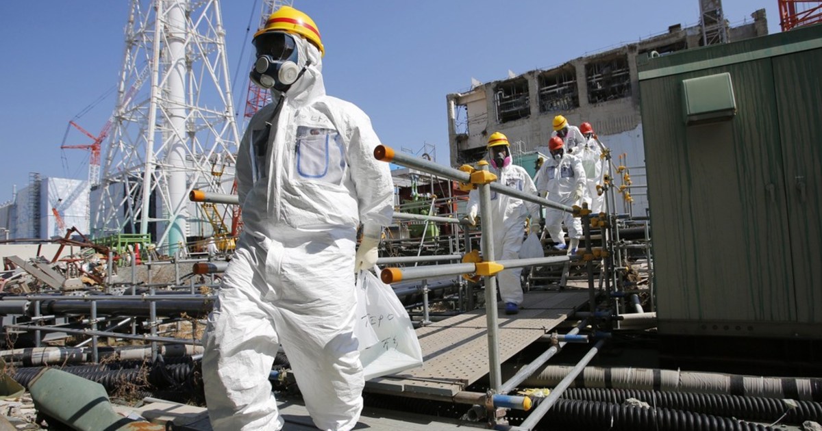 Tour sheds light on colossal Fukushima cleanup