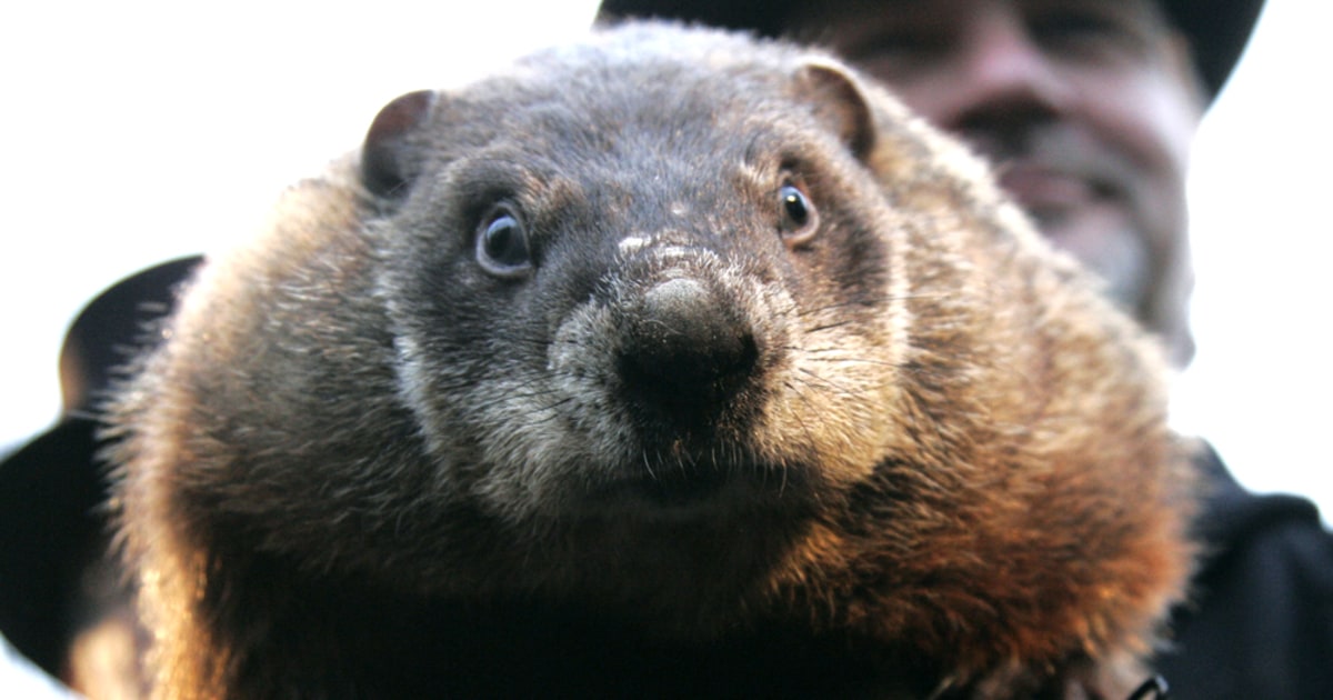 The real deal behind Punxsutawney Phil