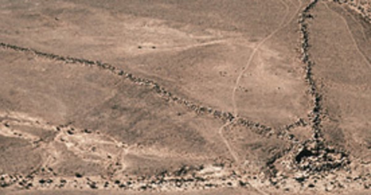 Mysterious desert lines were animal traps