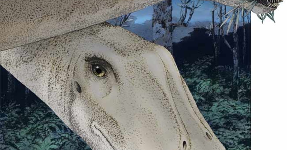 Dinosaur tots were baby-faced