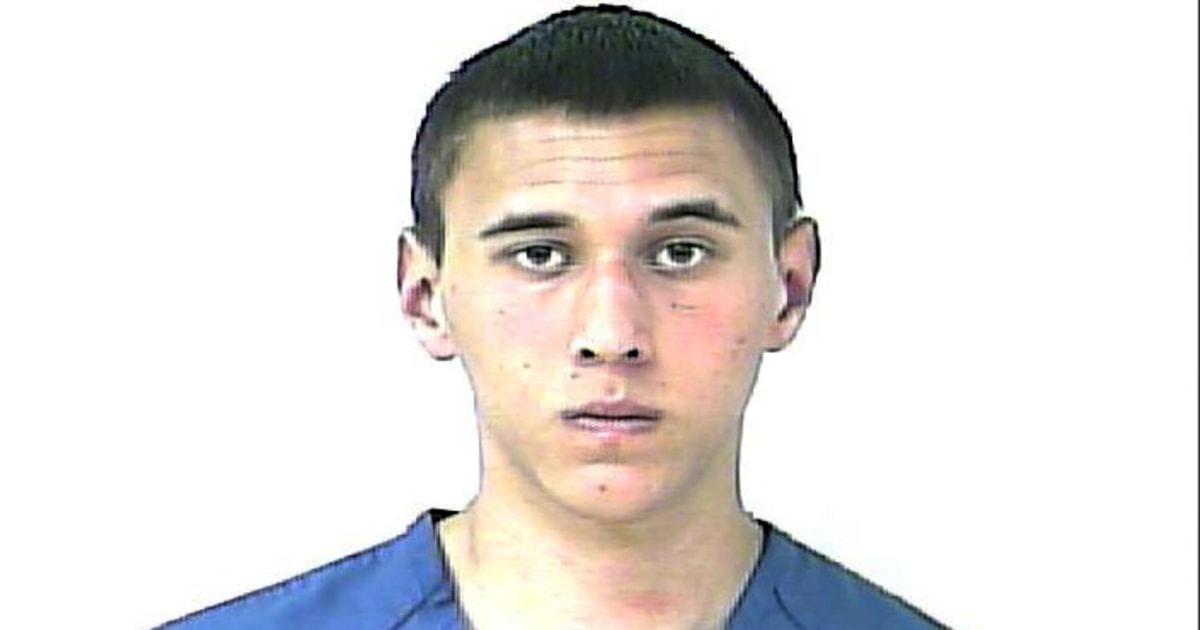 Mom screamed 'Why?' during hammer attack, cops say