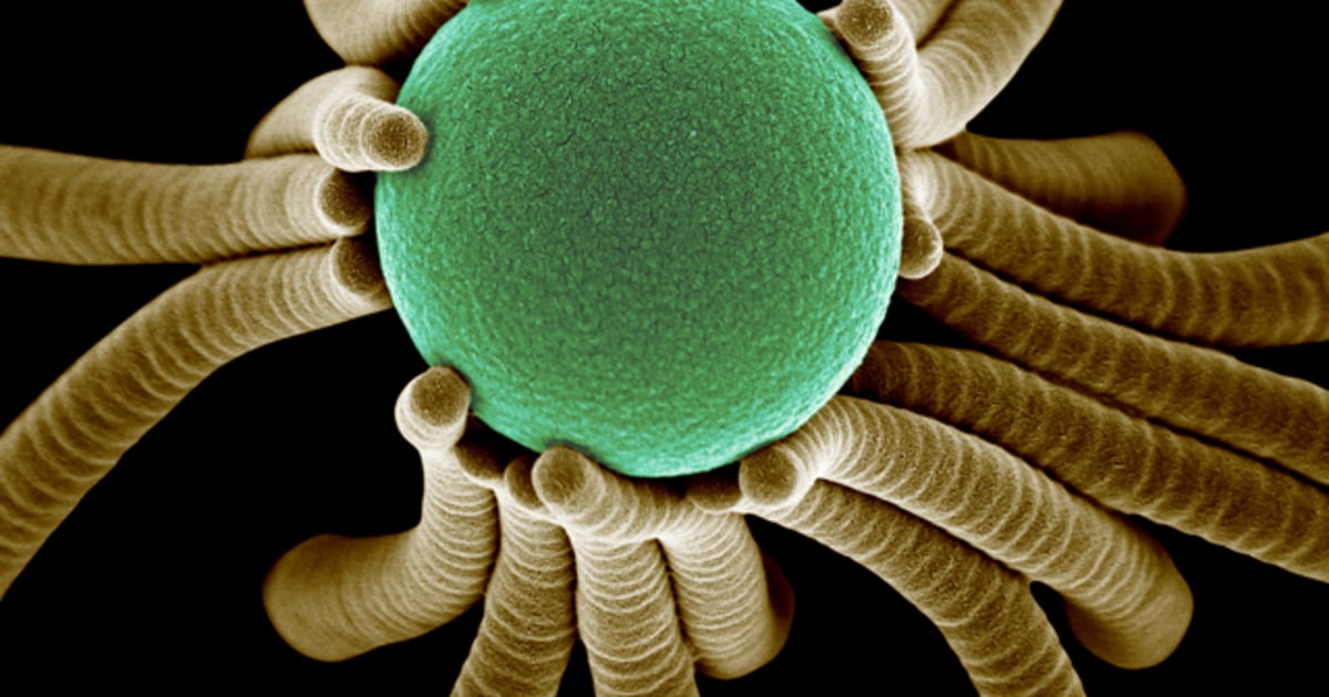 Visualizing science