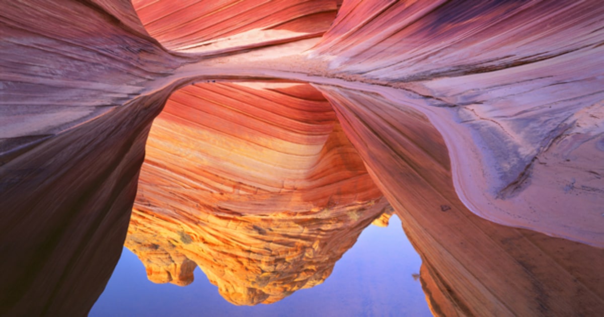 ‘Best of’ nature for Earth Day