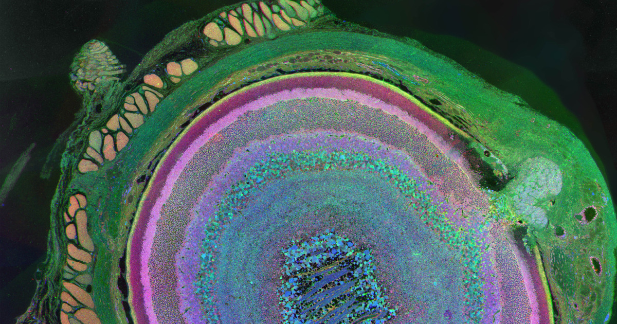 Stunning scientific sights