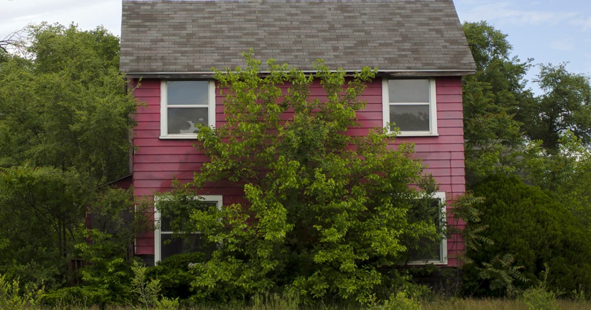 Getting back to nature in Gary, Indiana