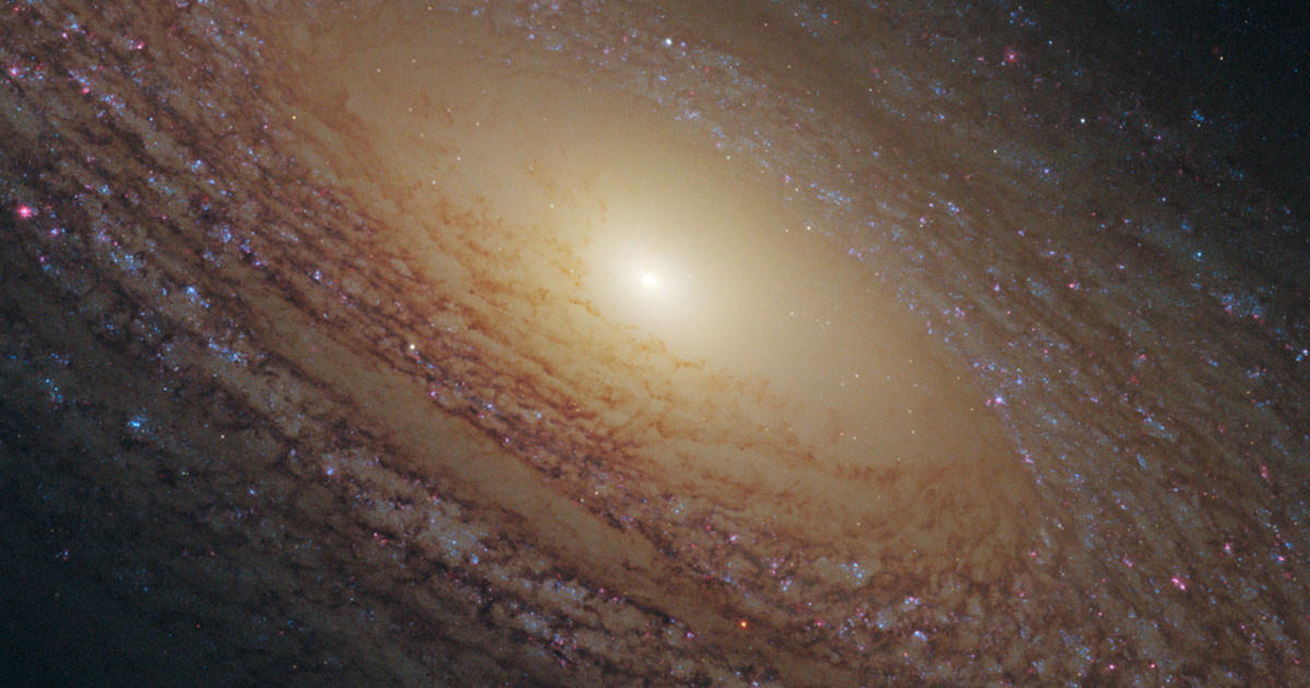 NASA Takes You Through a Real-Life 'Cosmos'
