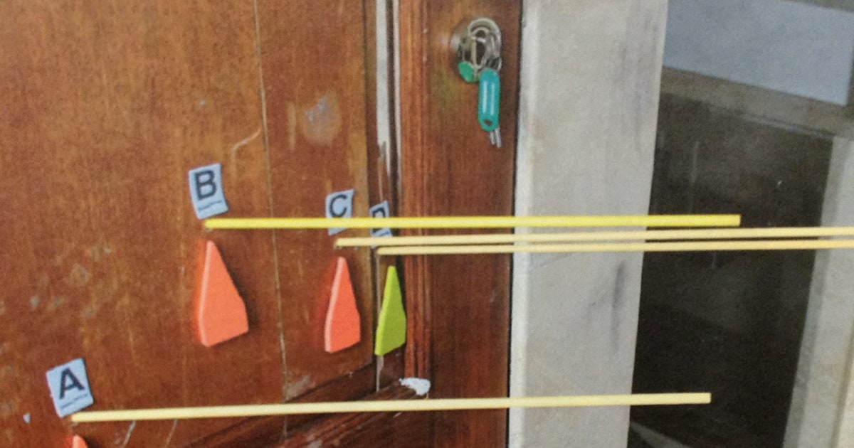 Pistorius trial evidence revealed