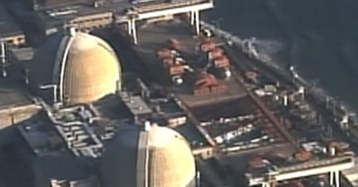Ammonia leak forces evacuation at nuclear plant