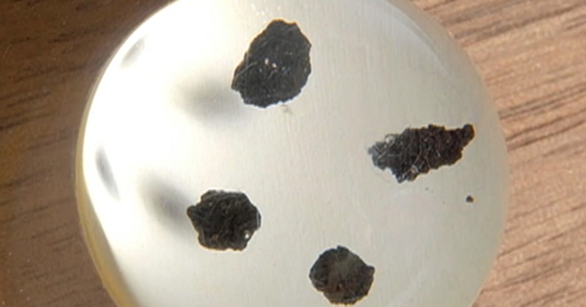 Dozens of moon rock samples missing