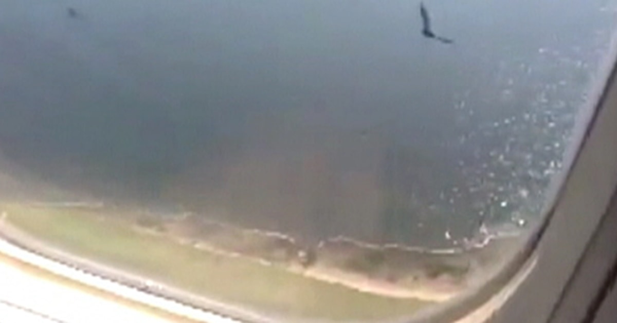 Delta flight suffers bird strike, returns to JFK