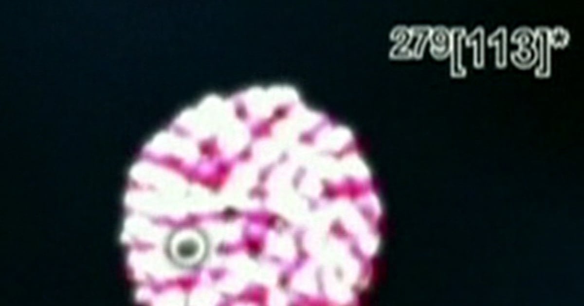 Elusive element 113 may be confirmed