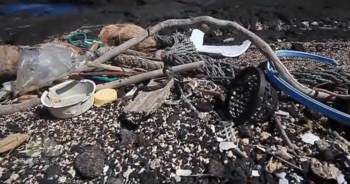 Tsunami debris washes up in Hawaii
