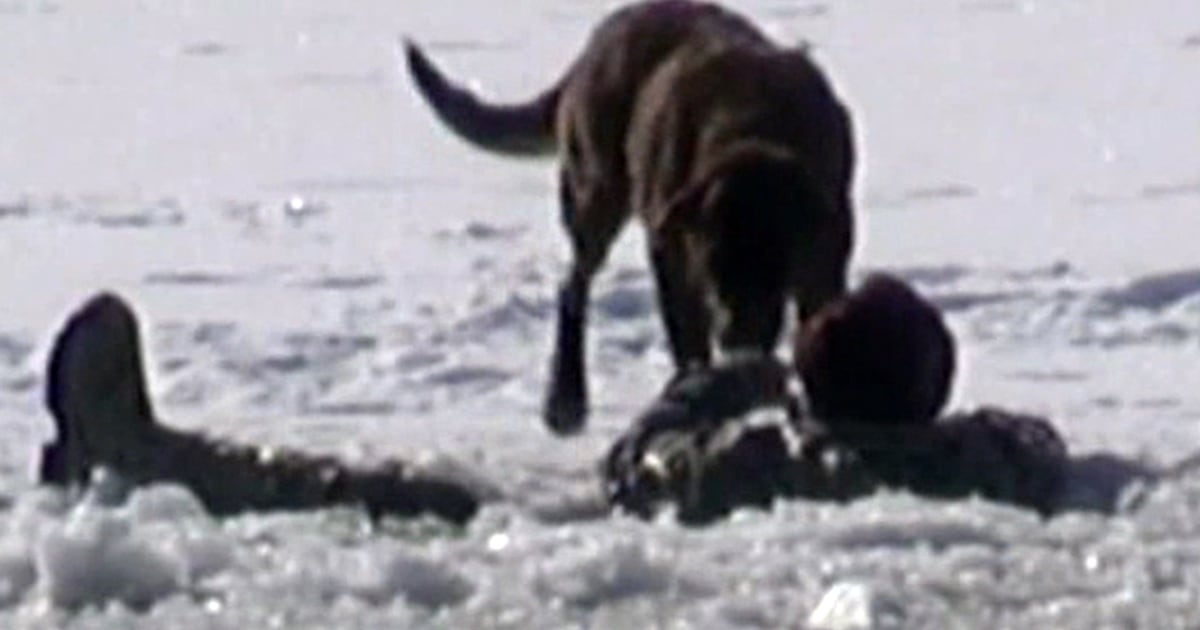 Man rescues dog, then falls through ice