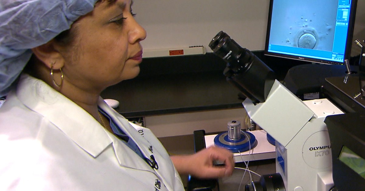 EmbryoScope allows 'continuous imaging of the embryo as it grows’