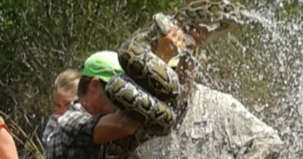 Florida tour guide wrestles 10-foot python