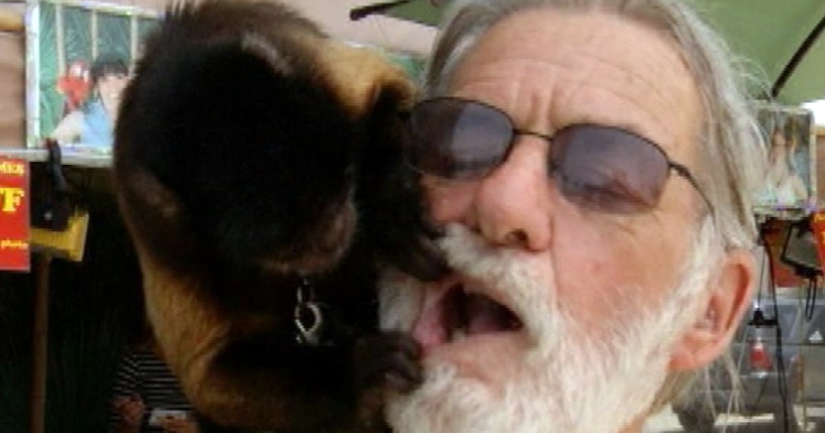 Meet April and The Monkey Man