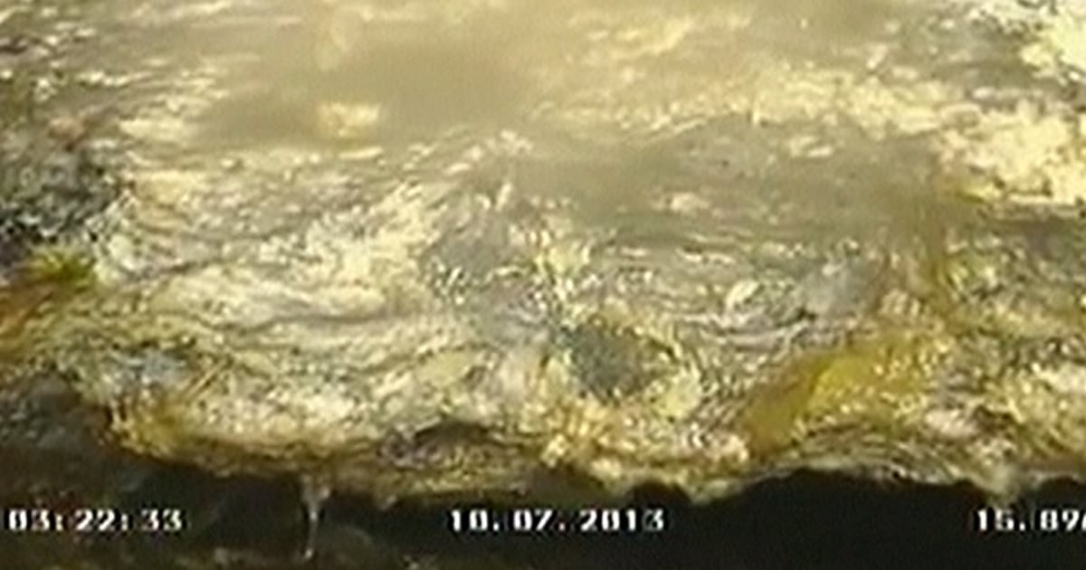 Sewer video captures a ‘fatberg’ up and close