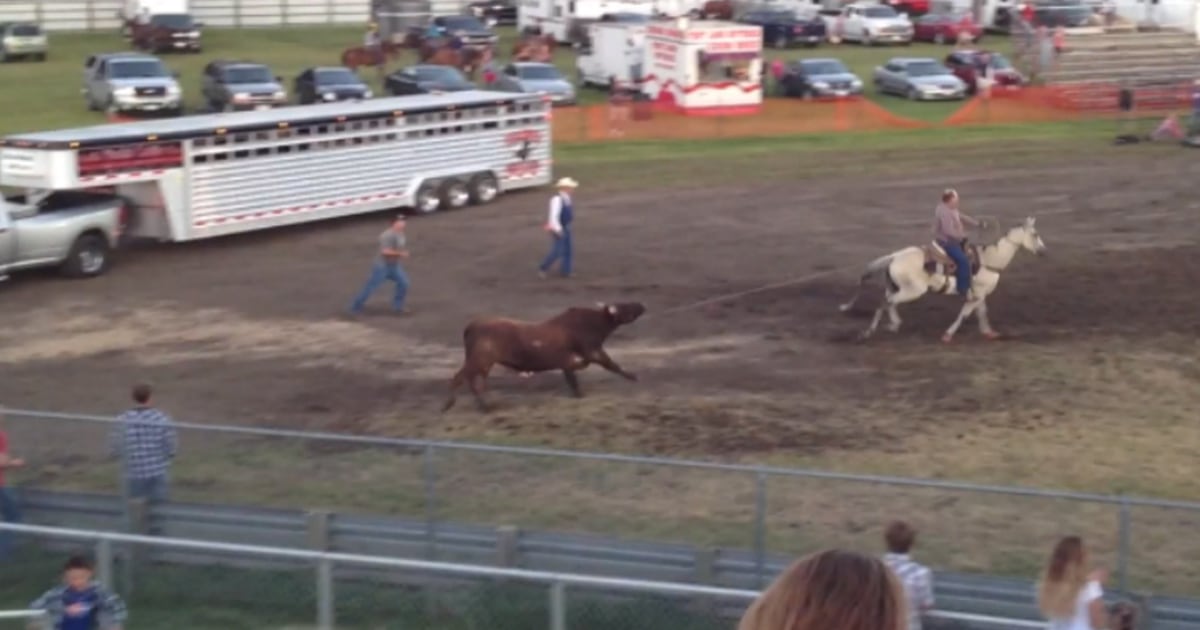 Video shows bull on rampage at county fair