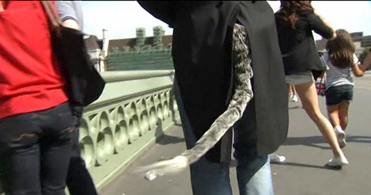 How about adding a tail to your wardrobe?