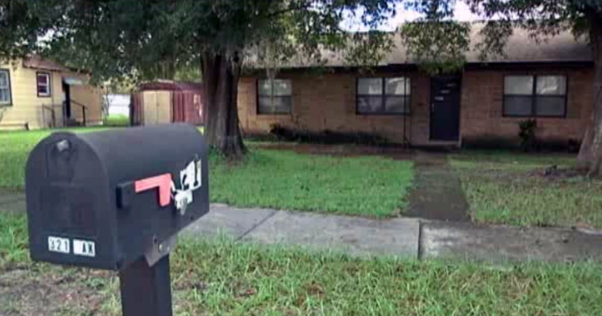 Florida family forced to flee snake-infested home