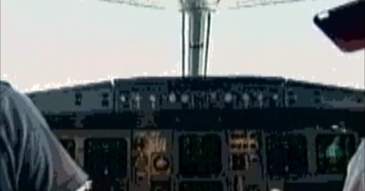Pilot passes out mid-flight