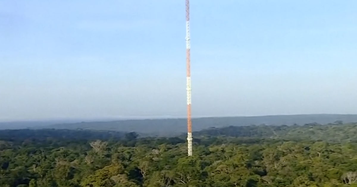 This Tower in the Amazon Is Fighting Climate Change