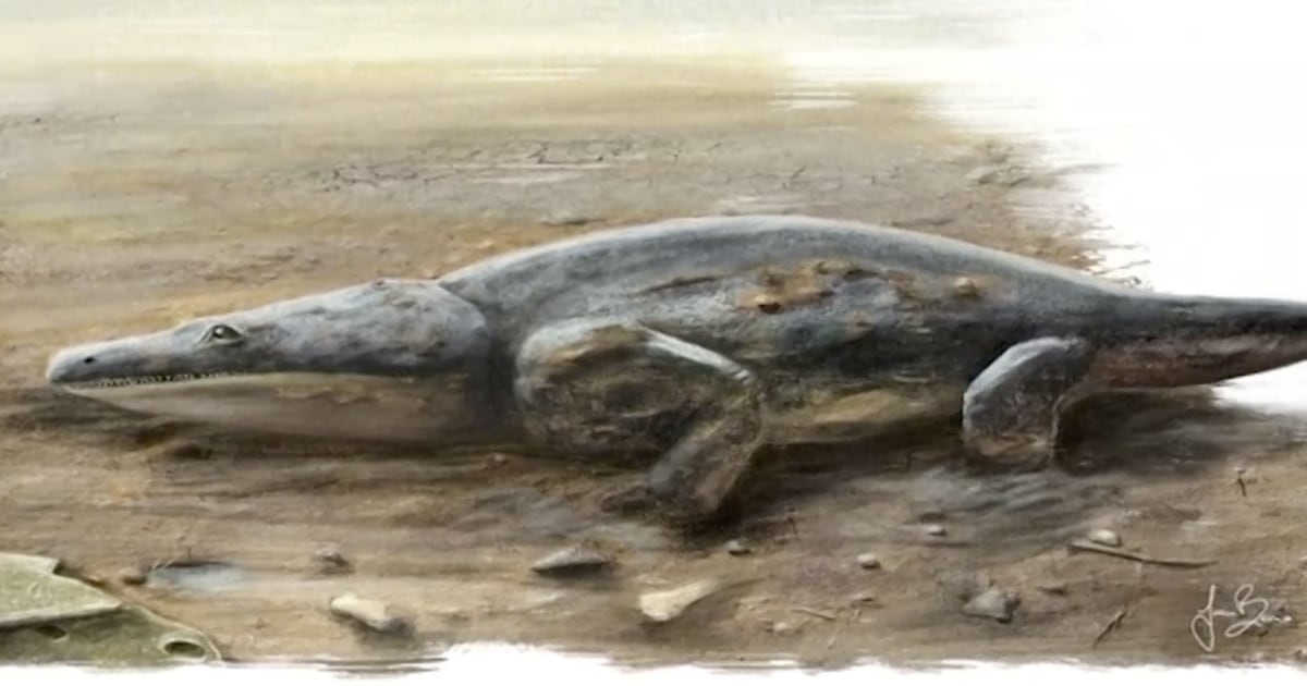 Scientists in Portugal Discover the Fossils of Earth's Largest Predator