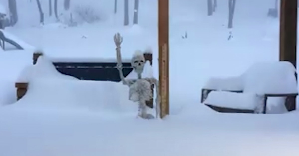 Watch as Blizzard Buries Back Yard
