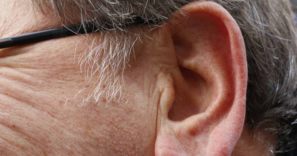 Why Do Older People Have Big Ears?