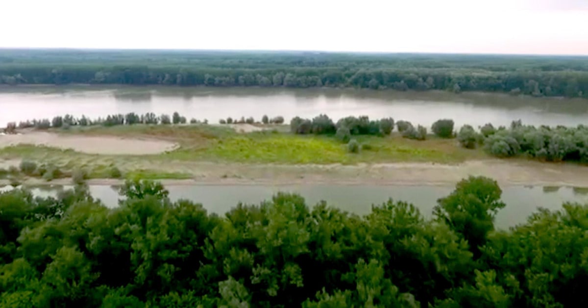 'To Live and Let Live': What's Behind Liberland's Motto?