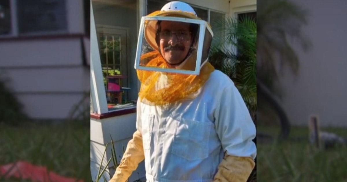 Florida Man Stung Over 150 Times Trying to Vacuum Bees
