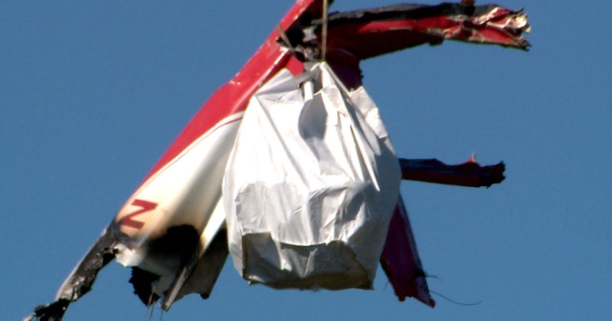 Impact with Bald Eagle May Have Caused Deadly Plane Crash
