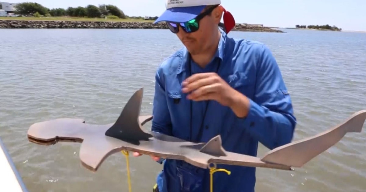 Researchers Develop Drones to Track Sharks