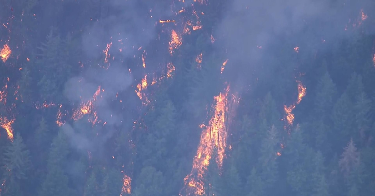 Trailhead Fire Grows to 650 Acres in California